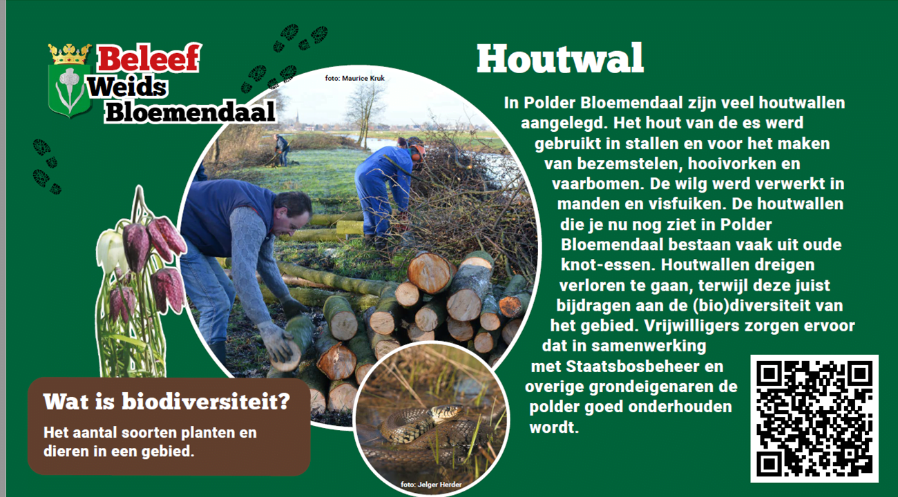 Houtwal – Stichting Weids Bloemendaal